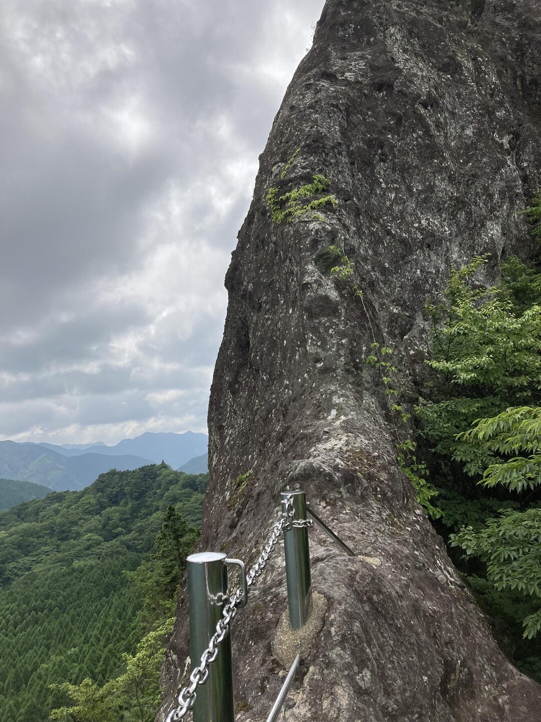 220710 英彦山 高住神社から鬼杉までぐるっと周回 / よしぞーさんの英彦山の活動データ | YAMAP / ヤマップ
