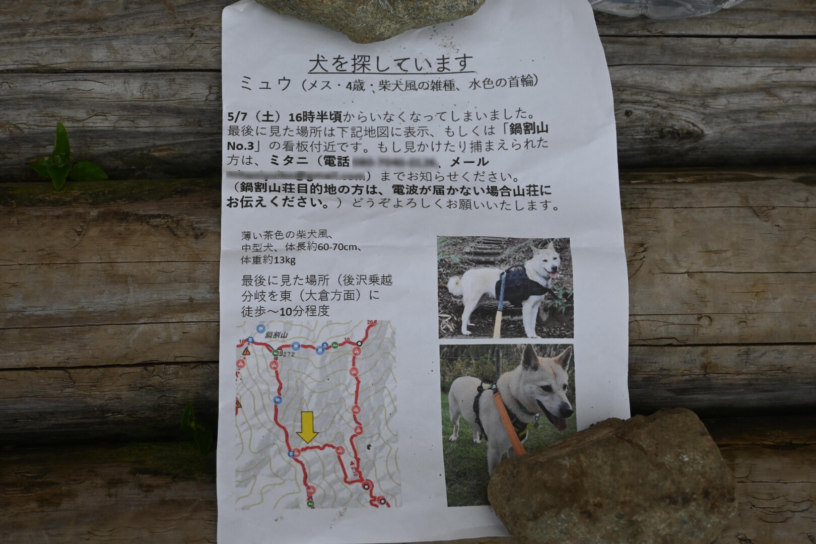 無事に見つかったようです😌 http... / にこりたちさんのモーメント | YAMAP / ヤマップ