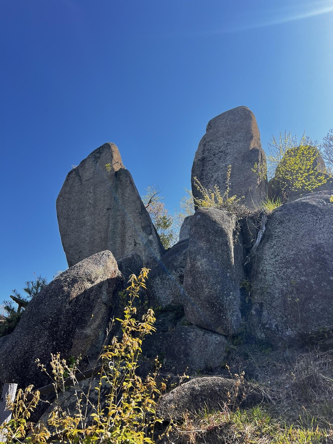 せんこう頭部・天狗岩 小屋浦駅♬ / PEZ（ペッツ）さんの絵下山・天狗城山・森山の活動データ | YAMAP / ヤマップ