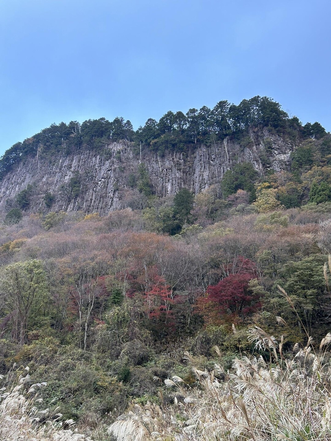 鎧・兜⛰️ロングコースver😆 / miya38さんの住塚山・兜岳・鎧岳の活動データ | YAMAP / ヤマップ