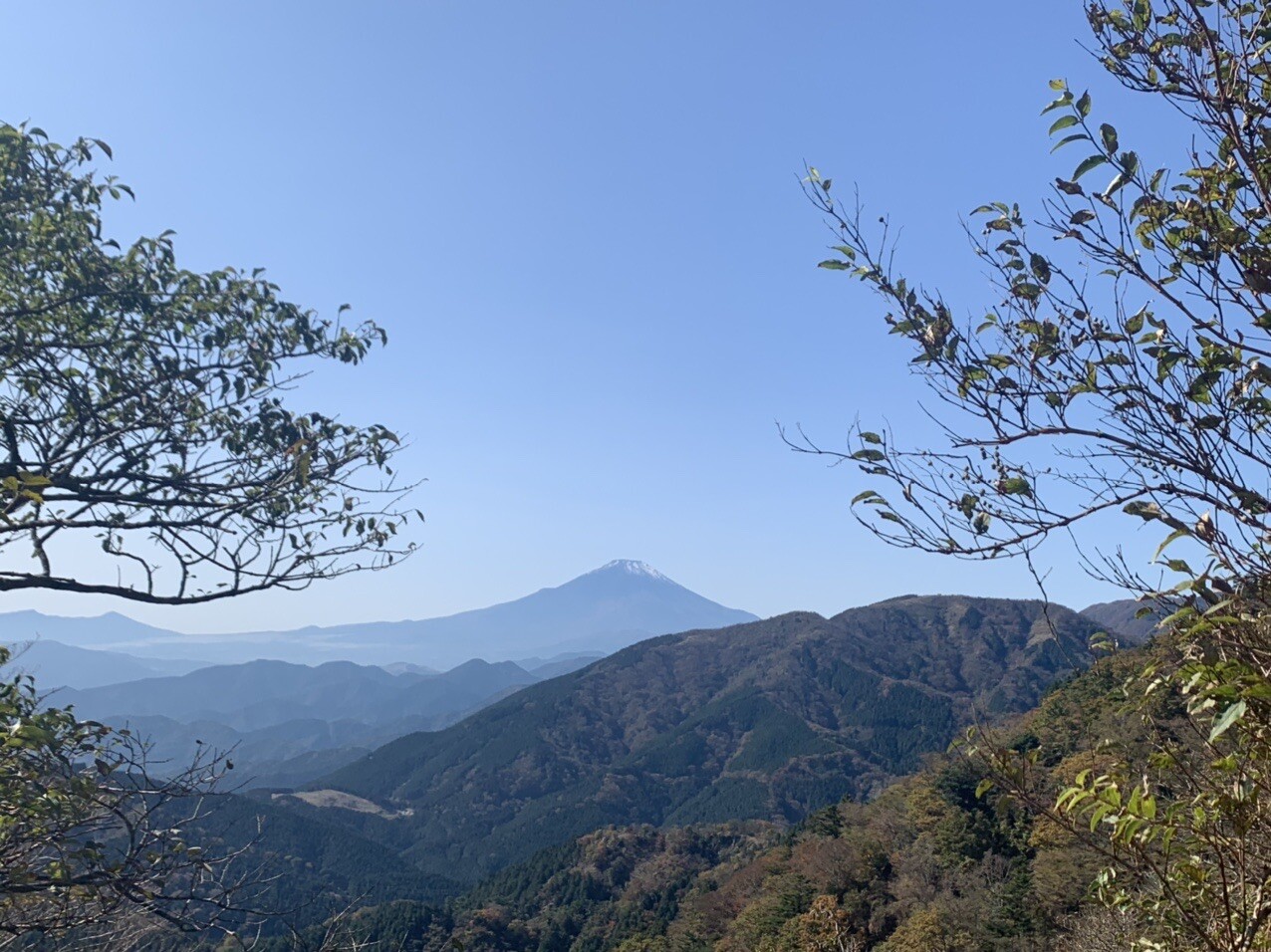 大山 / Namiさんの大山の活動データ | YAMAP / ヤマップ
