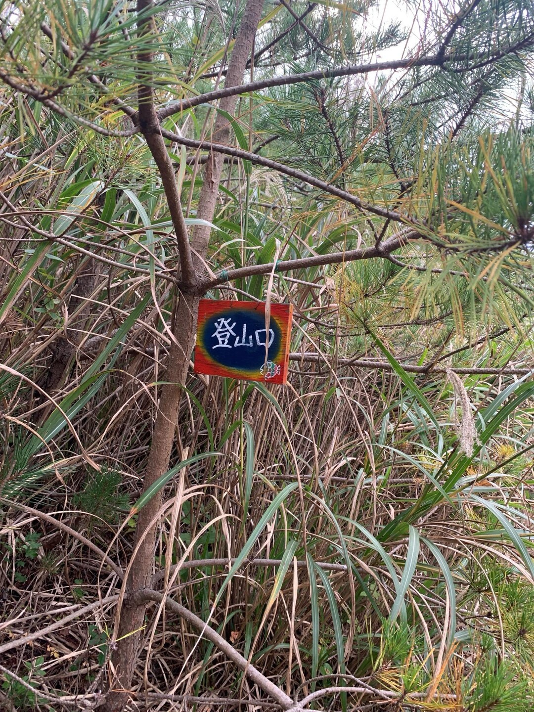 北山 標高:355m / katuさんの隠岐諸島・島後の活動データ | YAMAP / ヤマップ