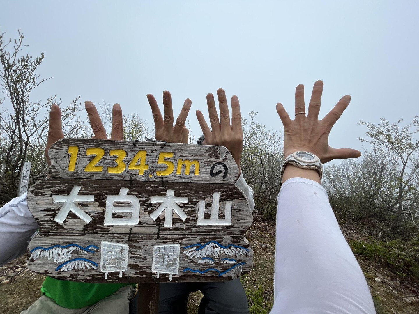 ぎふ百山⛰️大白木山 標高1234.5m / azurarironさんの高屋山・大白木山の活動データ | YAMAP / ヤマップ