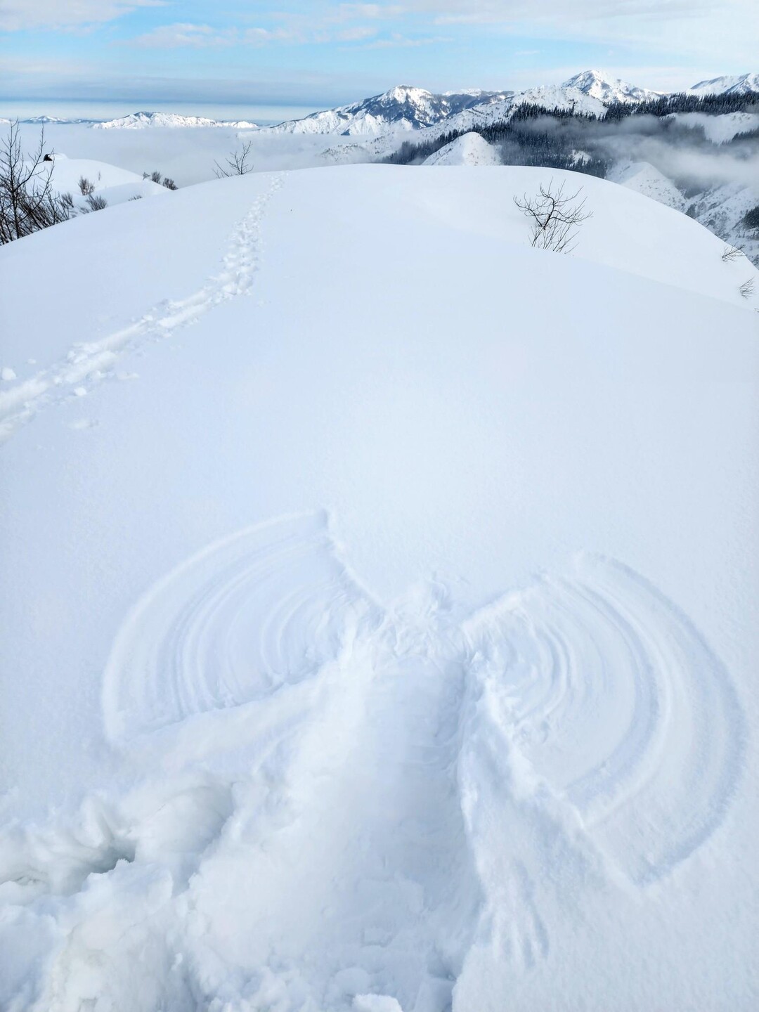 大力山 / ミヨヨさんの大力山・黒禿の頭・笠倉山の活動日記 | YAMAP / ヤマップ