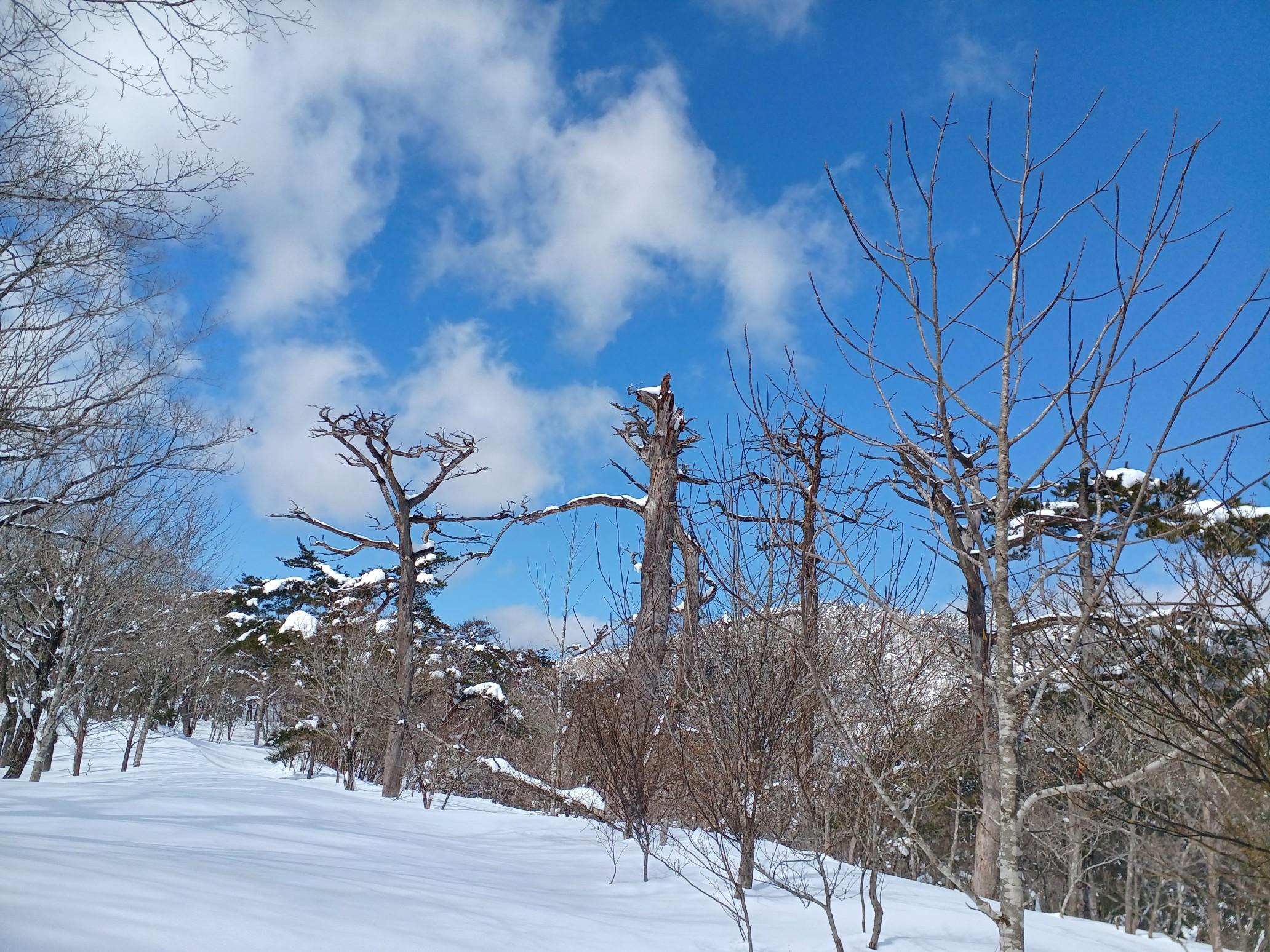 大江山連峰トレイル-2025-02-25 / simodaさんの大江山連峰トレイルの活動データ | YAMAP / ヤマップ