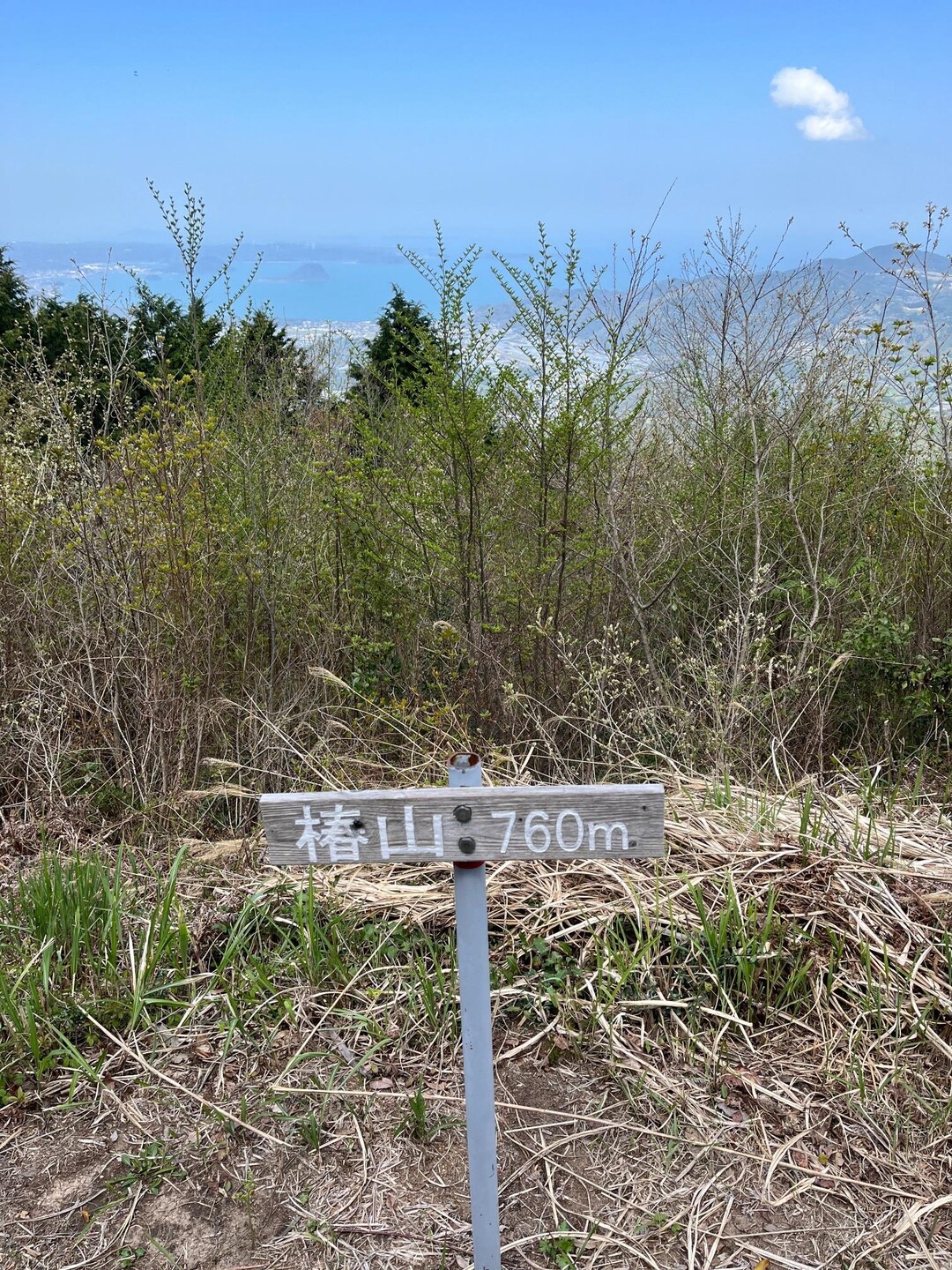 椿山低山ハイク / big treeさんの椿山の活動データ | YAMAP / ヤマップ