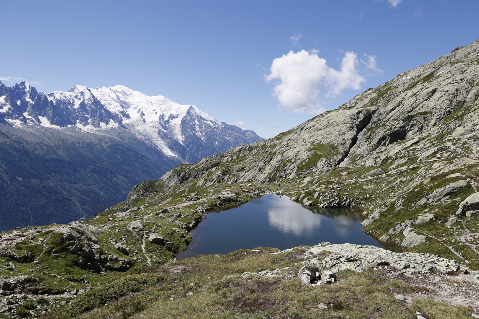 🇫🇷Lac Blanc-2022-06-25 / natsuさんのシャモニーの活動データ | YAMAP / ヤマップ