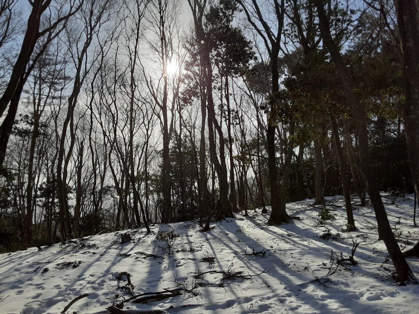 三方山・小倉山・養老山 / Nuruma_Uさんの養老山・笙ヶ岳・三方山の活動データ | YAMAP / ヤマップ