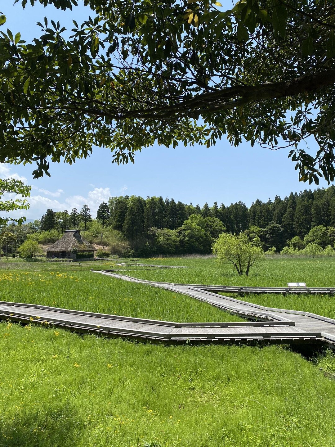 中池見周辺ウォーキング-2023-05-01 / yanoさんのウォーキングの活動データ | YAMAP / ヤマップ