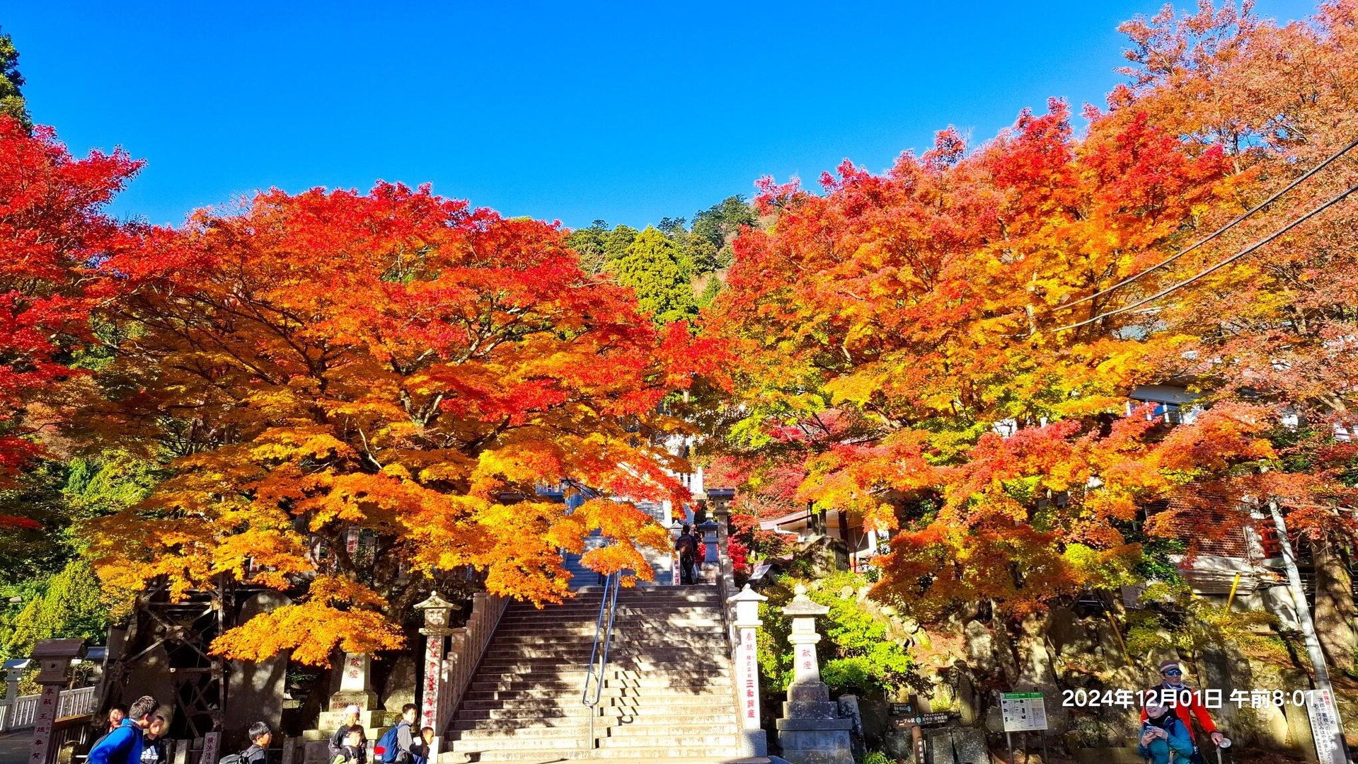 大山の雲なき空に散るもみじ / mitchさんの大山の活動データ | YAMAP / ヤマップ