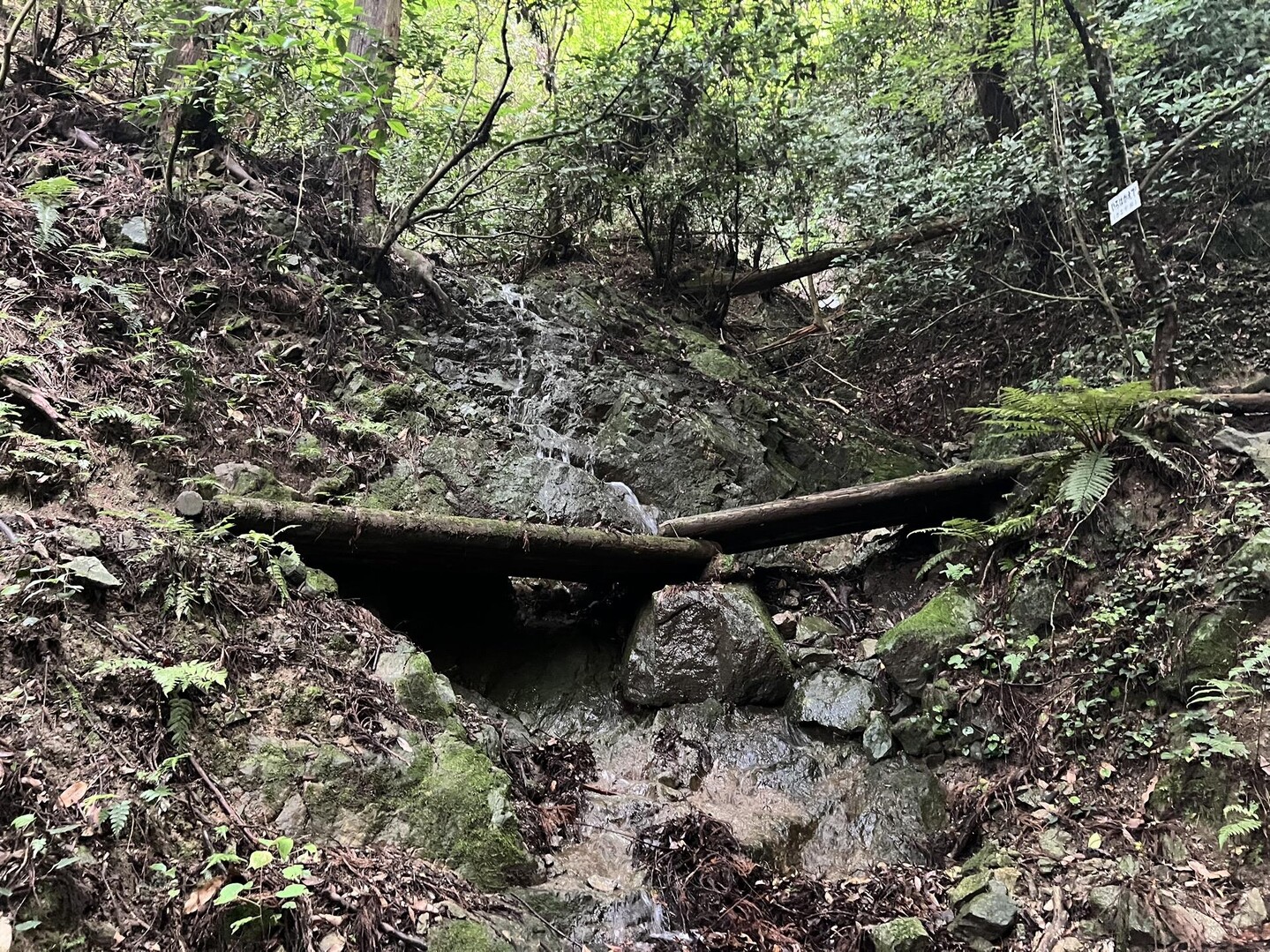 この時間から登るのも良い。 / FW16さんの立花山・三日月山・城ノ越山の活動データ | YAMAP / ヤマップ