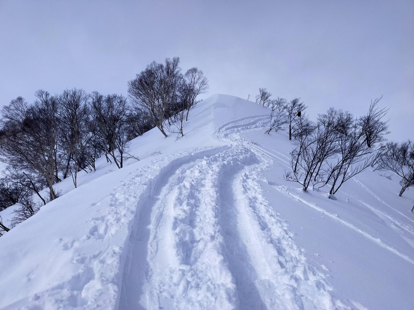 小遠見山 / Berryさんの鹿島槍ヶ岳・五竜岳（五龍岳）・唐松岳の活動データ | YAMAP / ヤマップ
