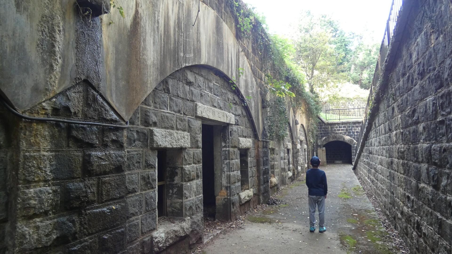 息子とドライブ🚙 石原岳森林公園_20221023 / セイゴさんの西海市の活動日記 | YAMAP / ヤマップ