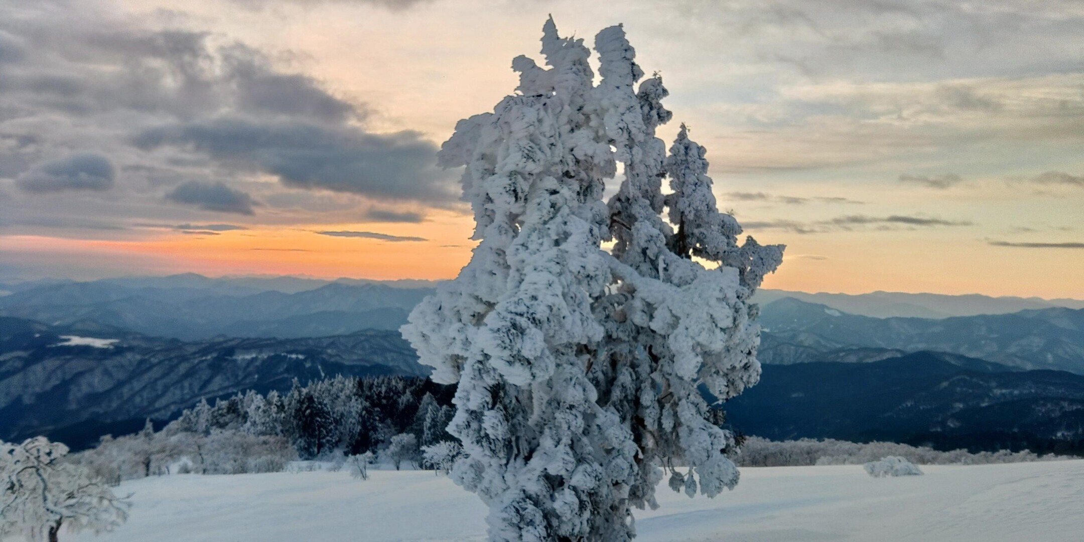 氷ノ山のモンスターに会いに-2023-02-17 / MC先輩さんの氷ノ山（須賀ノ山）・鉢伏山・瀞川山の活動日記 | YAMAP / ヤマップ