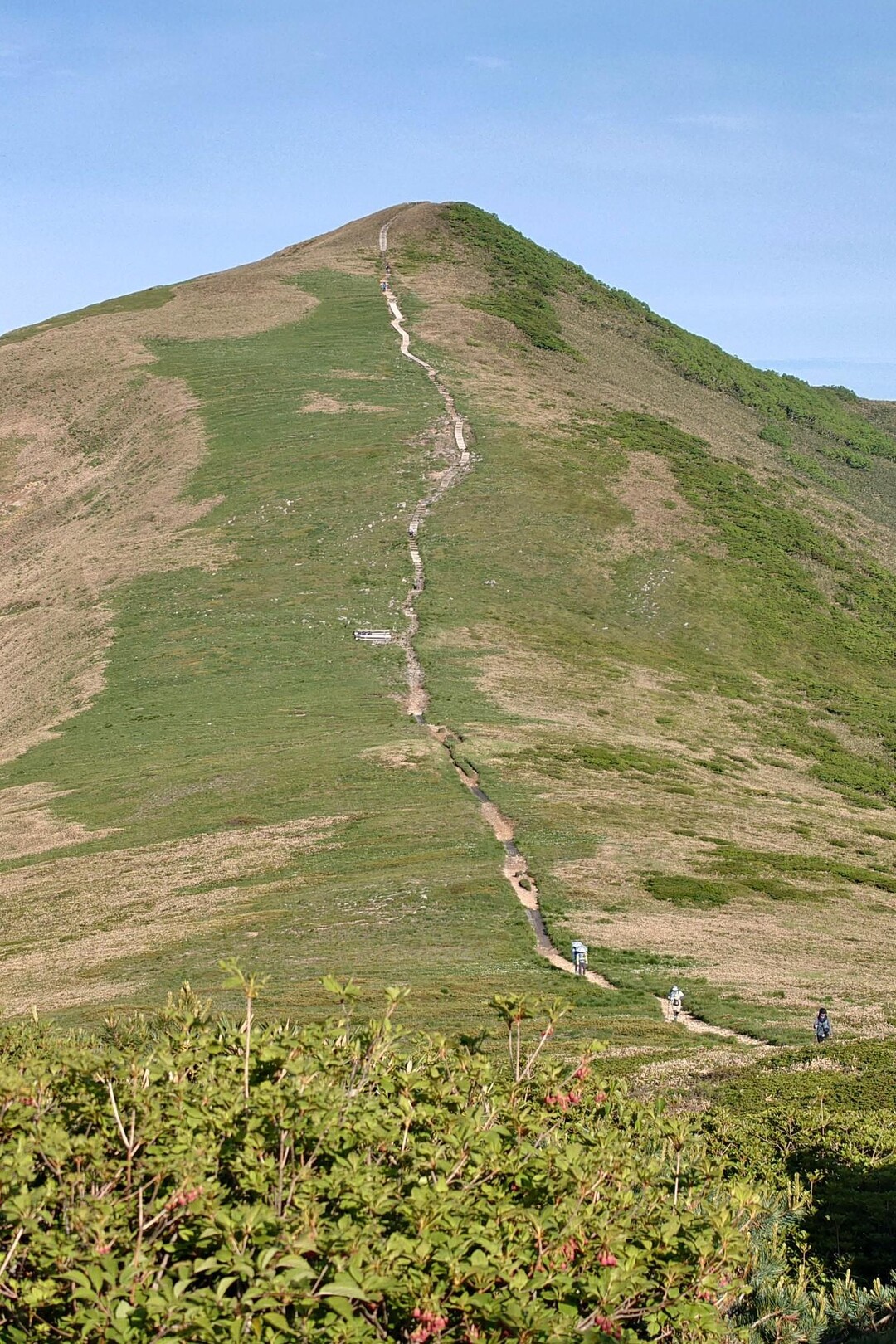 平標山・前仙ノ倉山・仙ノ倉山・松手山 / ka-nyaさんの仙ノ倉山・平標山・大源太山の活動データ | YAMAP / ヤマップ
