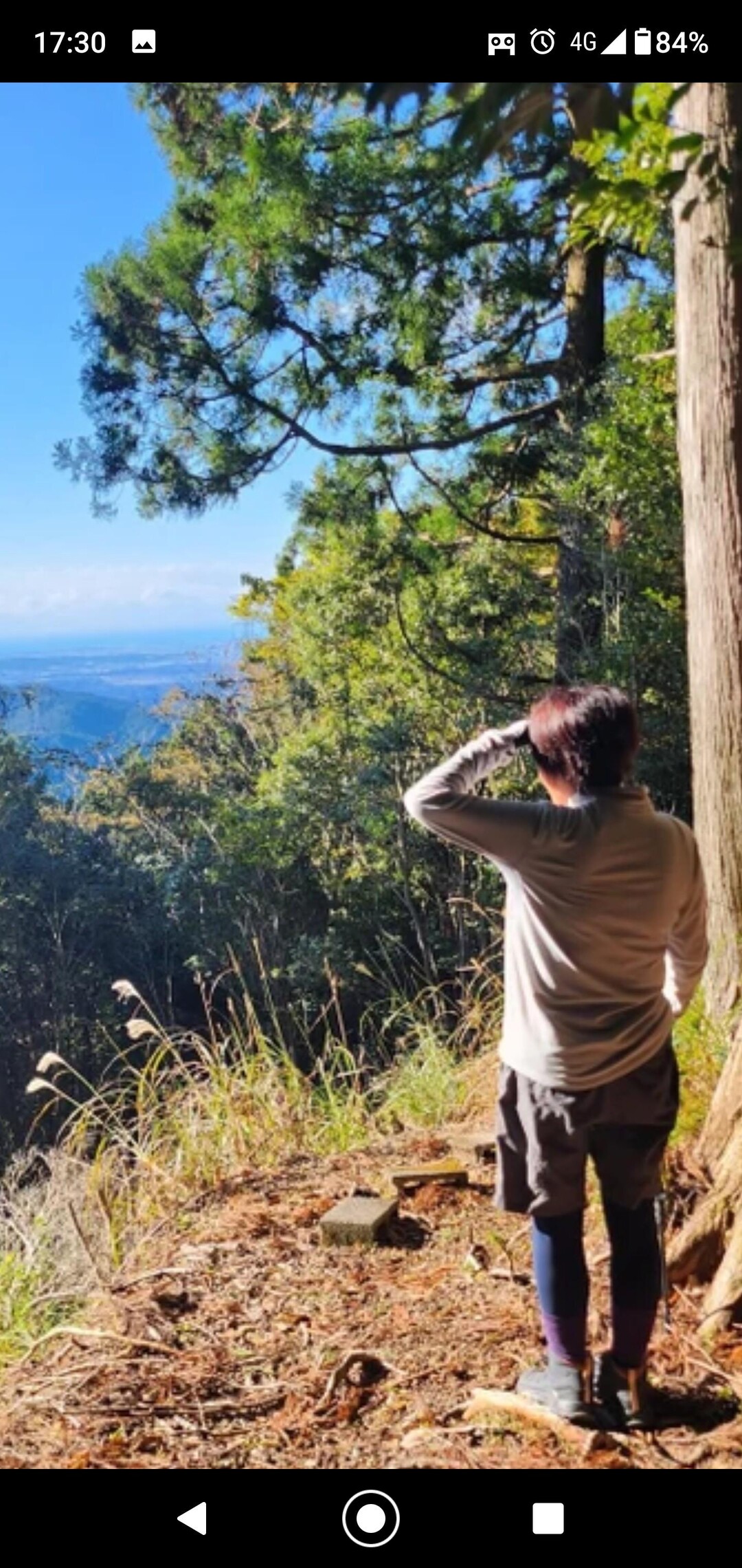 メグミのページ | YAMAP / ヤマップ