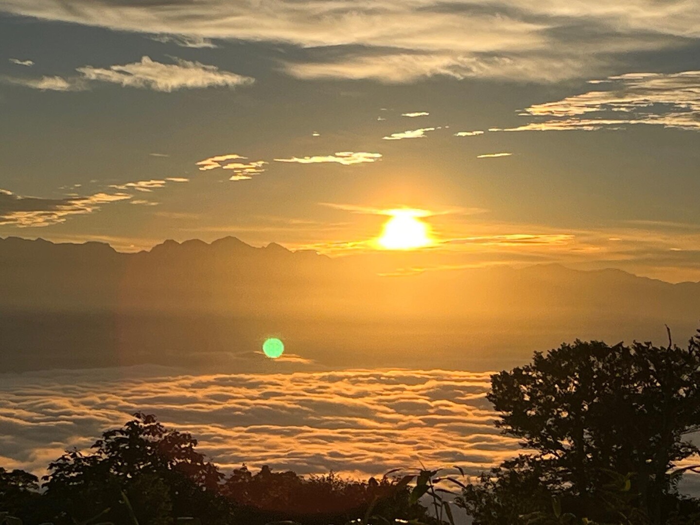 猪臥山 / jiro23さんの猪臥山の活動データ | YAMAP / ヤマップ