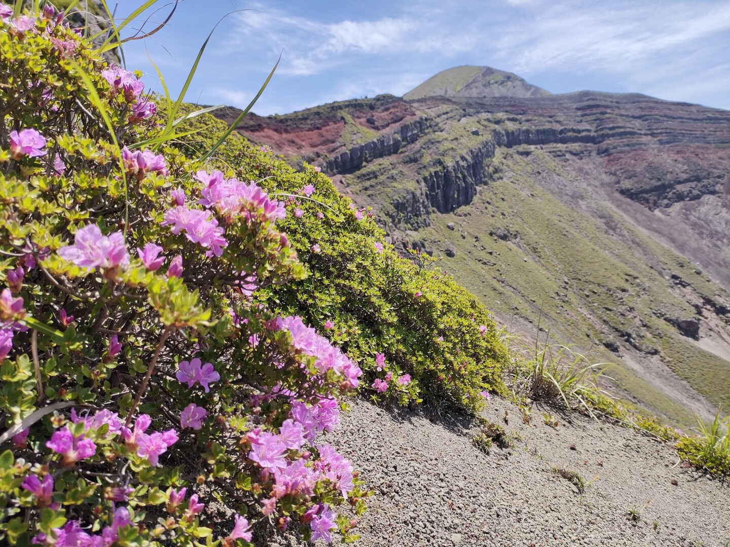 高千穂峰 ミヤマキリシマ / takaさんの霧島山・韓国岳・高千穂峰・夷守岳・烏帽子岳の活動日記 | YAMAP / ヤマップ