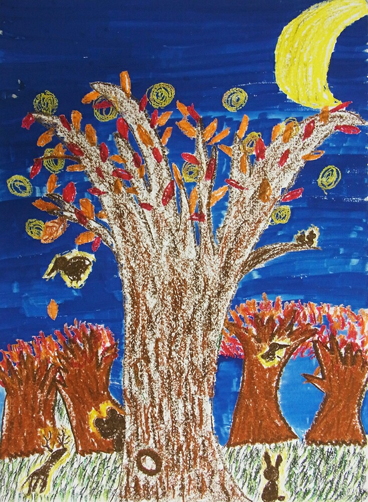 candypopのページ | YAMAP / ヤマップ