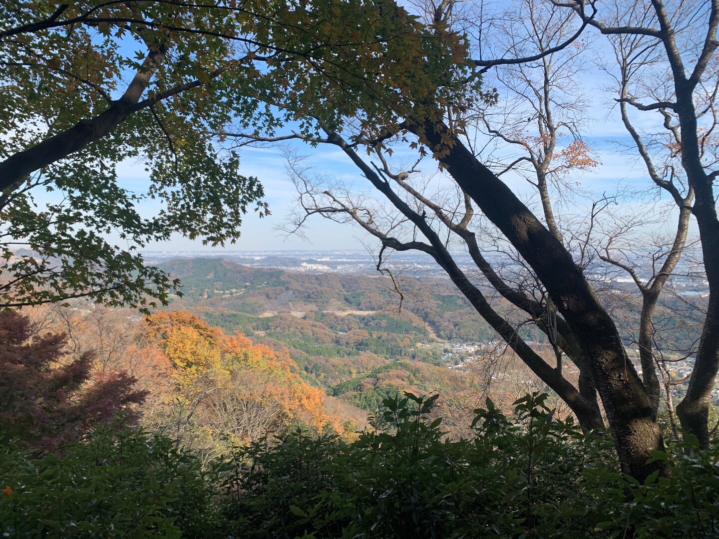 日向山・見城山 / masurinさんの大山の活動データ | YAMAP / ヤマップ