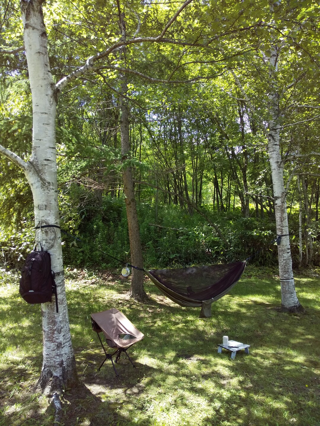 tetchのページ | YAMAP / ヤマップ