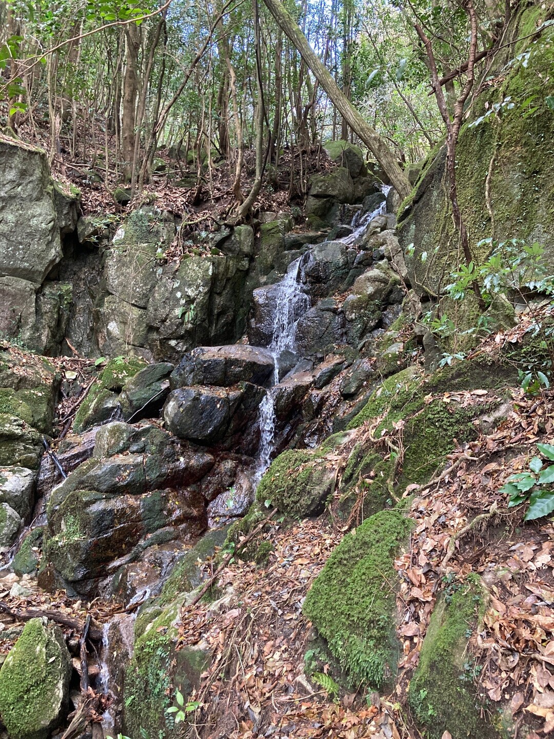 hiyoさんの投稿したフィールドメモ | YAMAP / ヤマップ