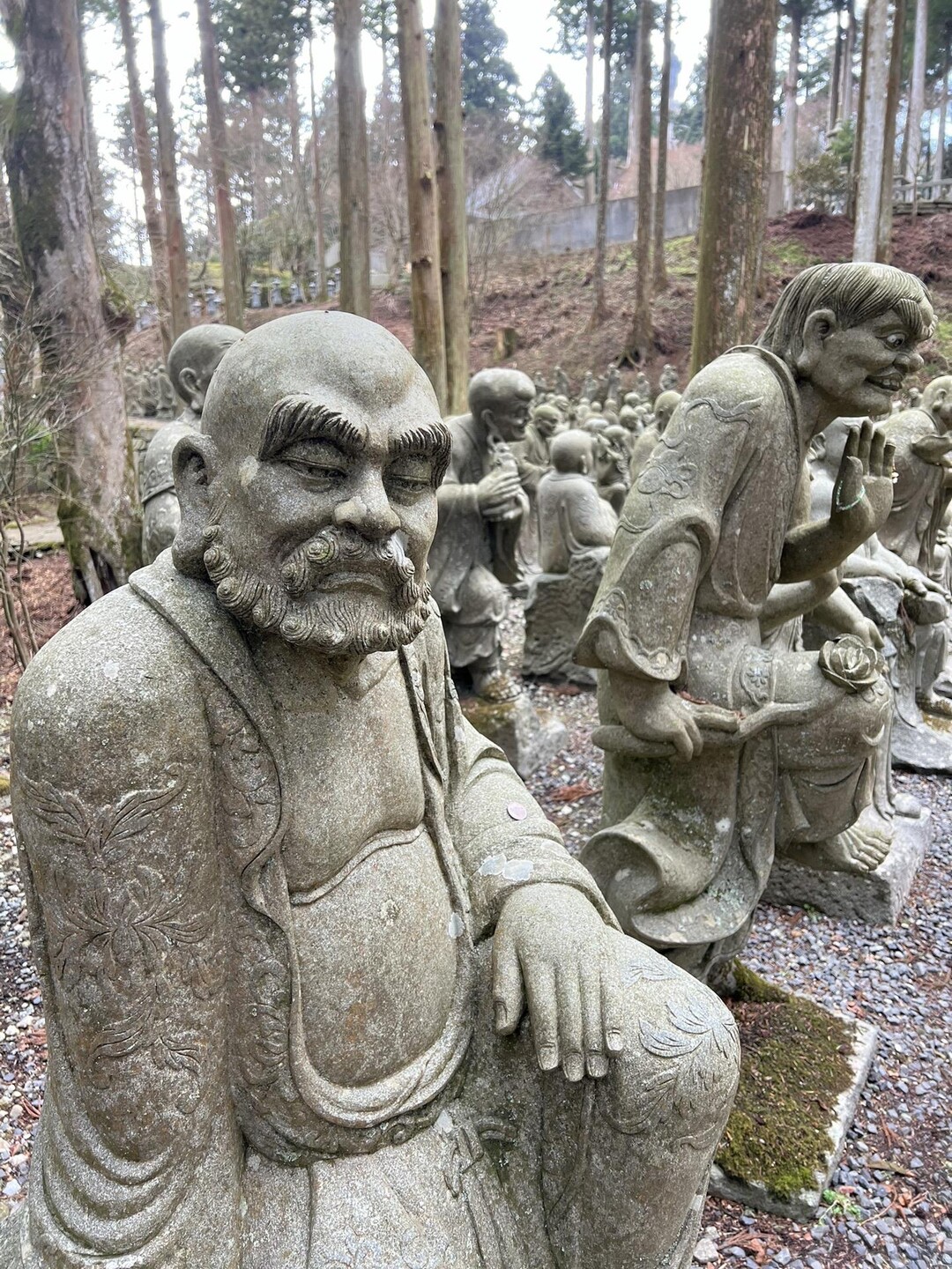 雲辺寺山 / ta3netさんの雲辺寺山の活動データ | YAMAP / ヤマップ