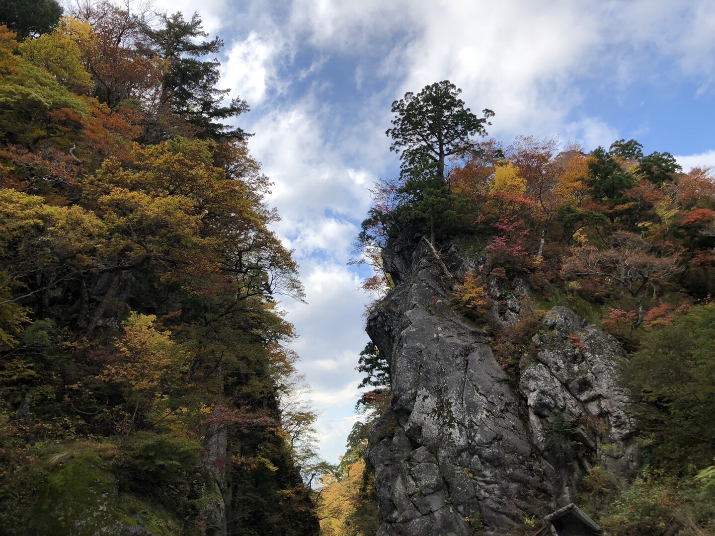 大山（鳥取県）・甲ヶ山・野田ヶ山-2018-10-30 / おぢぢ(^^)vさんの大山・甲ヶ山・野田ヶ山の活動データ | YAMAP / ヤマップ