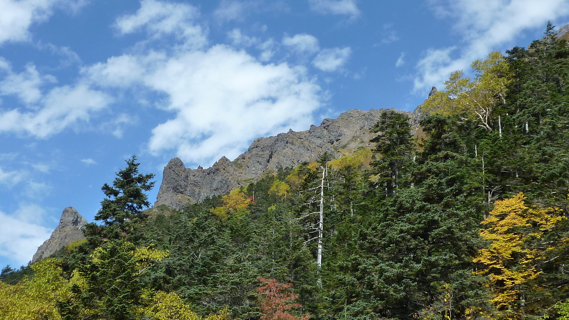 は～ぁ、過去の記録を見て溜息ばかり💦 ... / baruさんのモーメント | YAMAP / ヤマップ