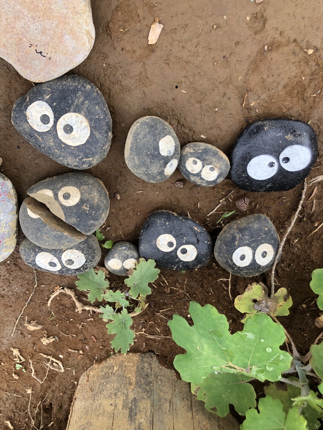 赤ぼっこ・天狗岩・要害山・愛宕山 / Joeさんの赤ぼっこの活動日記 | YAMAP / ヤマップ