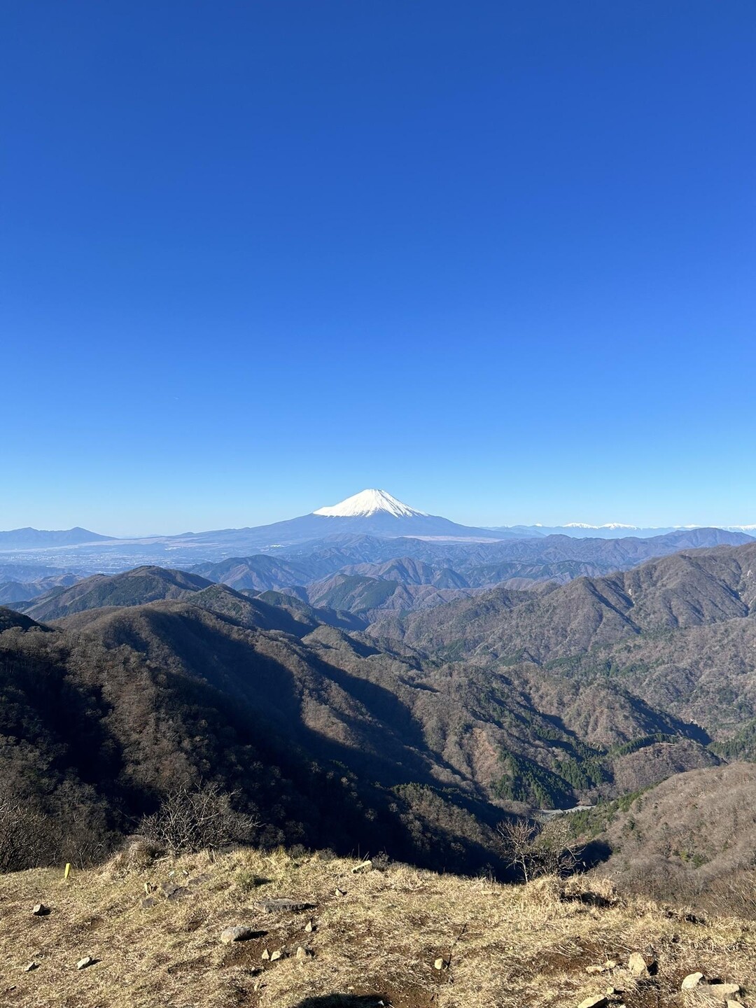堀山・塔ノ岳 / ritocotoさんの塔ノ岳・丹沢山・蛭ヶ岳の活動データ | YAMAP / ヤマップ
