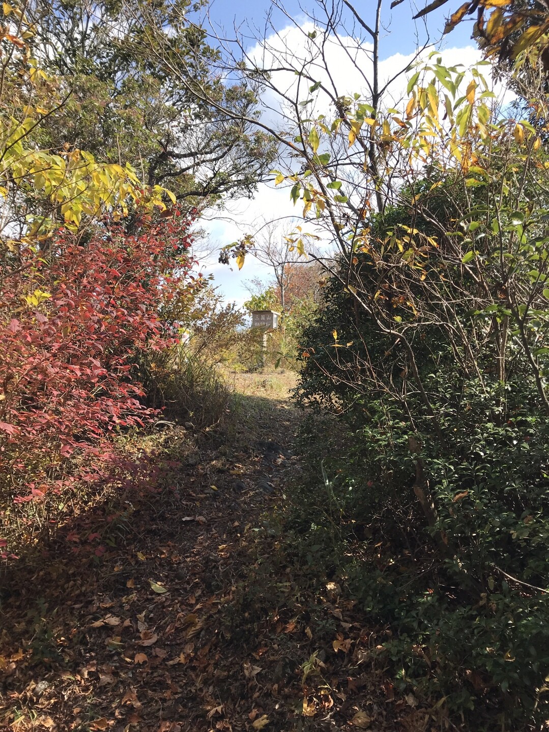 八方ヶ岳周回 / tunepswさんの八方ヶ岳の活動データ | YAMAP / ヤマップ