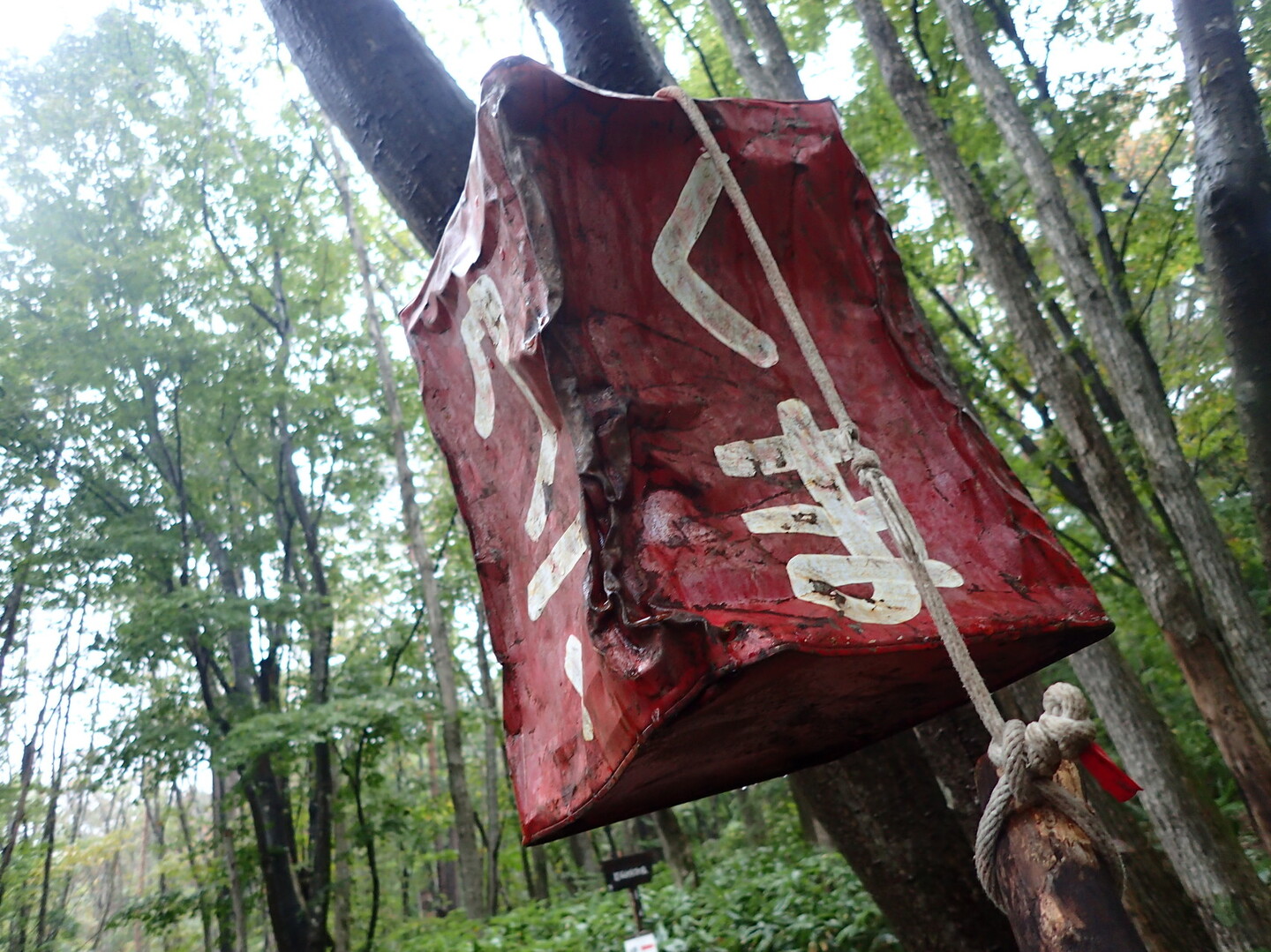 niceageのページ | YAMAP / ヤマップ