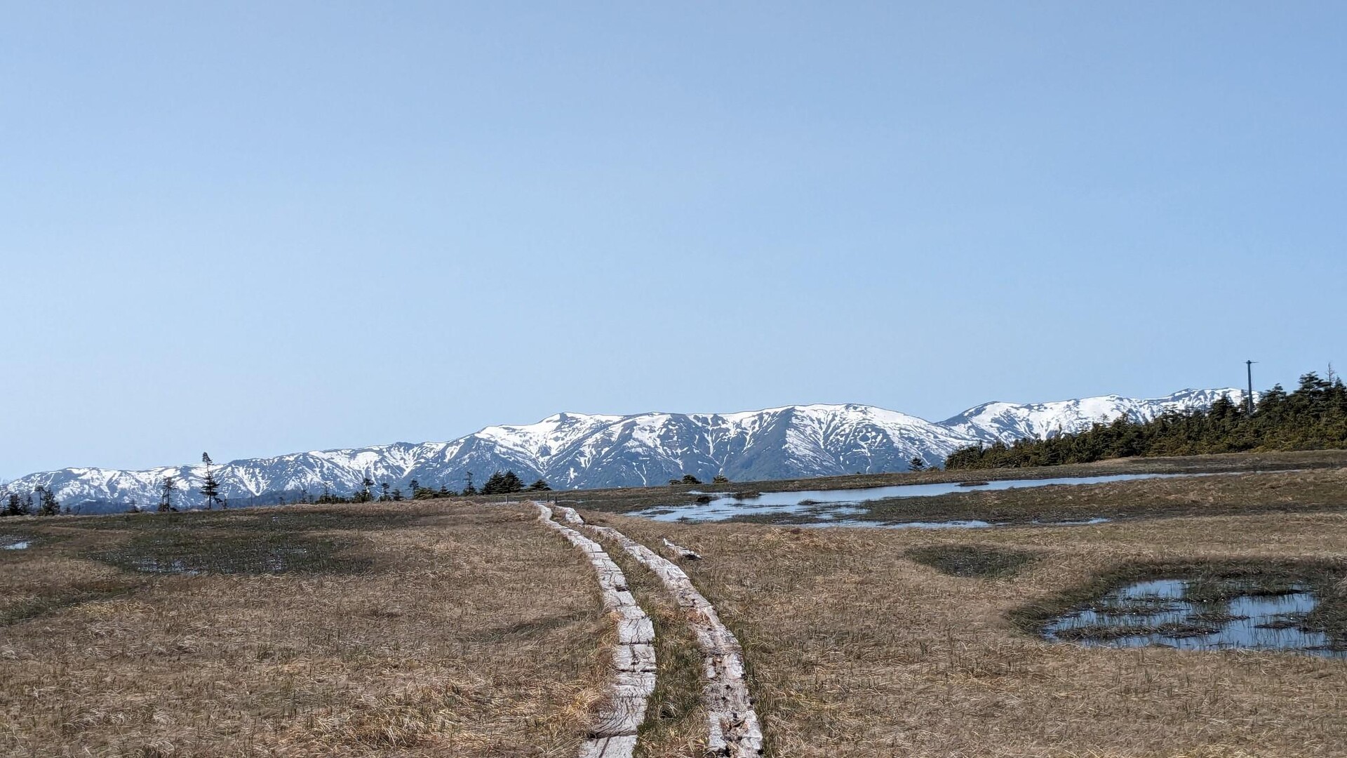 田代山【栃百】 / m93さんの田代山・帝釈山の活動データ | YAMAP / ヤマップ