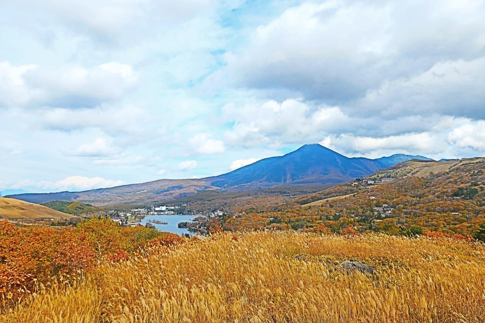 ぷち藪こぎでガボッチョ・カシガリ山 2022-10-23 / そらさんの霧ヶ峰・車山・大笹峰の活動データ | YAMAP / ヤマップ