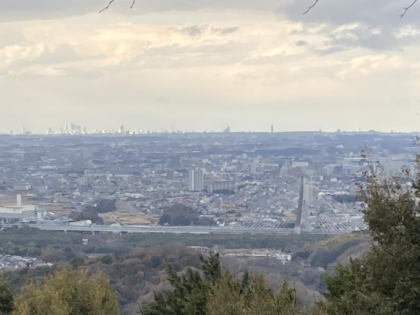 村積山⛰️ 登り納め🙇 / tom 〜還暦低山ハイカー〜さんの村積山の活動データ | YAMAP / ヤマップ