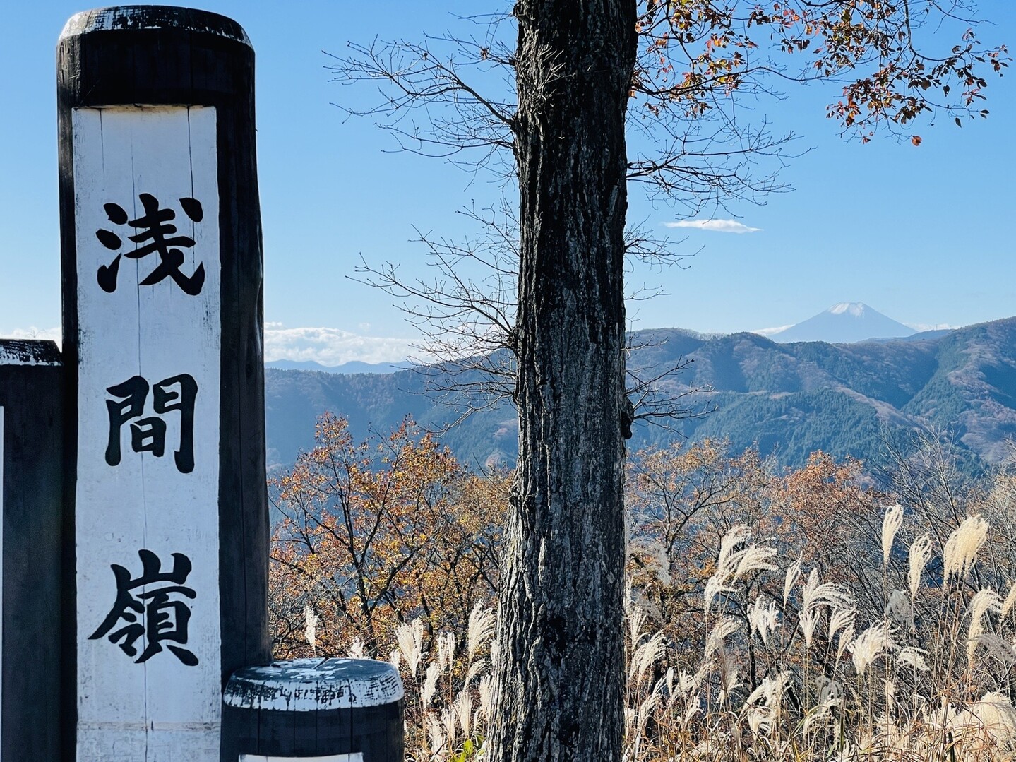 滝と富士山と山メシと温泉♨️ 払沢の滝BS〜浅間嶺〜浅間尾根〜仲の平BS〜数馬の湯 / otouさんの臼杵山・市道山・刈寄山の活動データ | YAMAP / ヤマップ