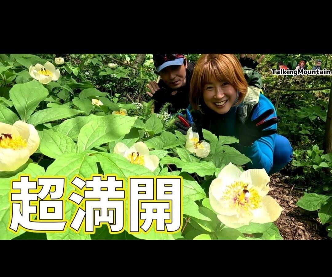 登山You Tube【トーキングマウンテ... / AKIさんのモーメント | YAMAP / ヤマップ