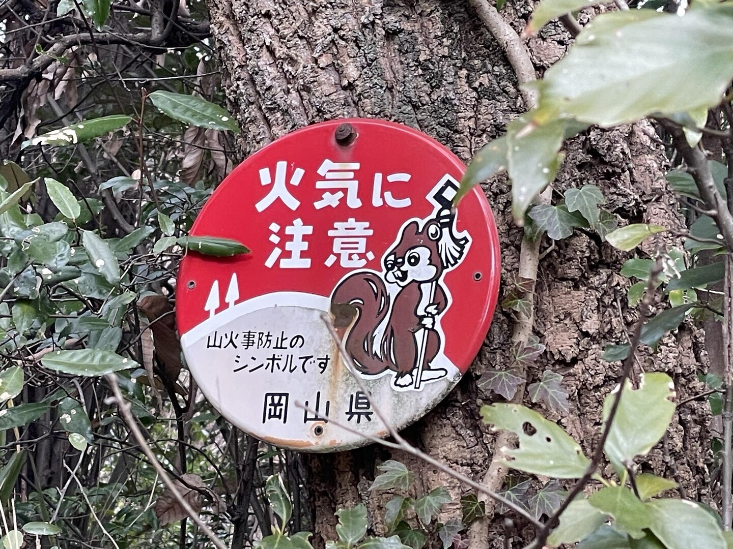 大平山 / なおちゃんさんの大平山・亀島山の活動日記 | YAMAP / ヤマップ