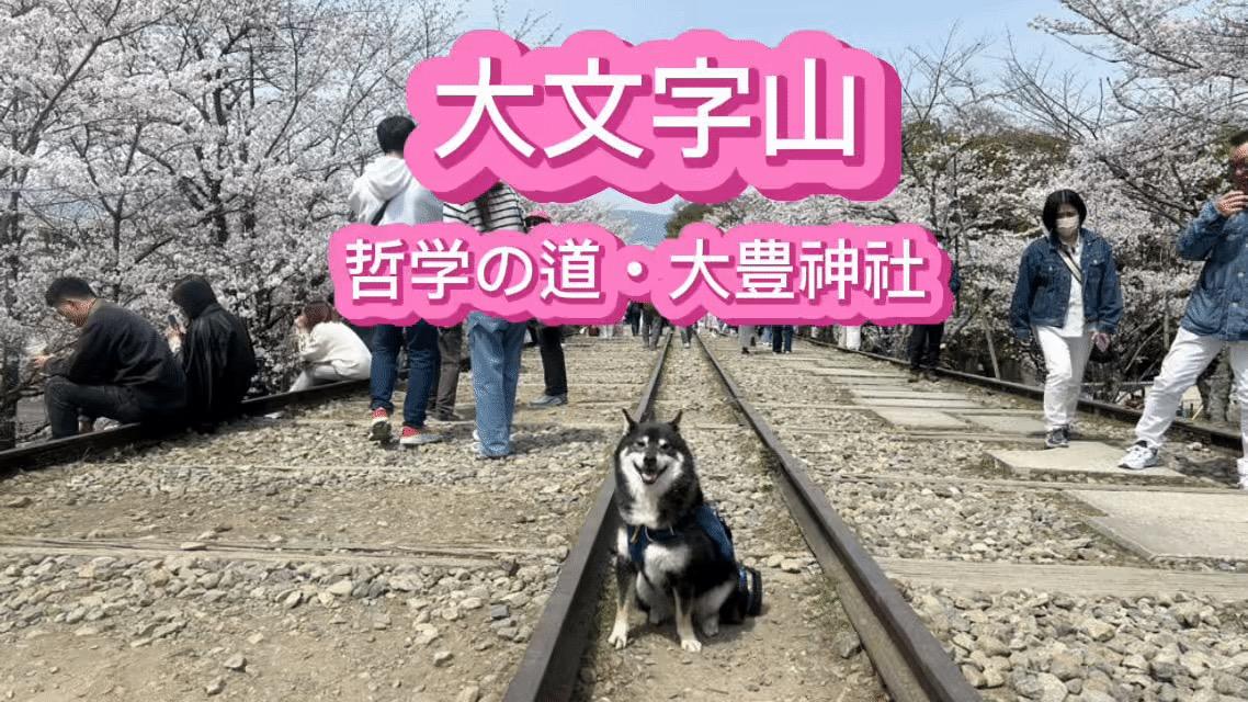 よければ見て下さいね https://y... / Corchanさんのモーメント | YAMAP / ヤマップ