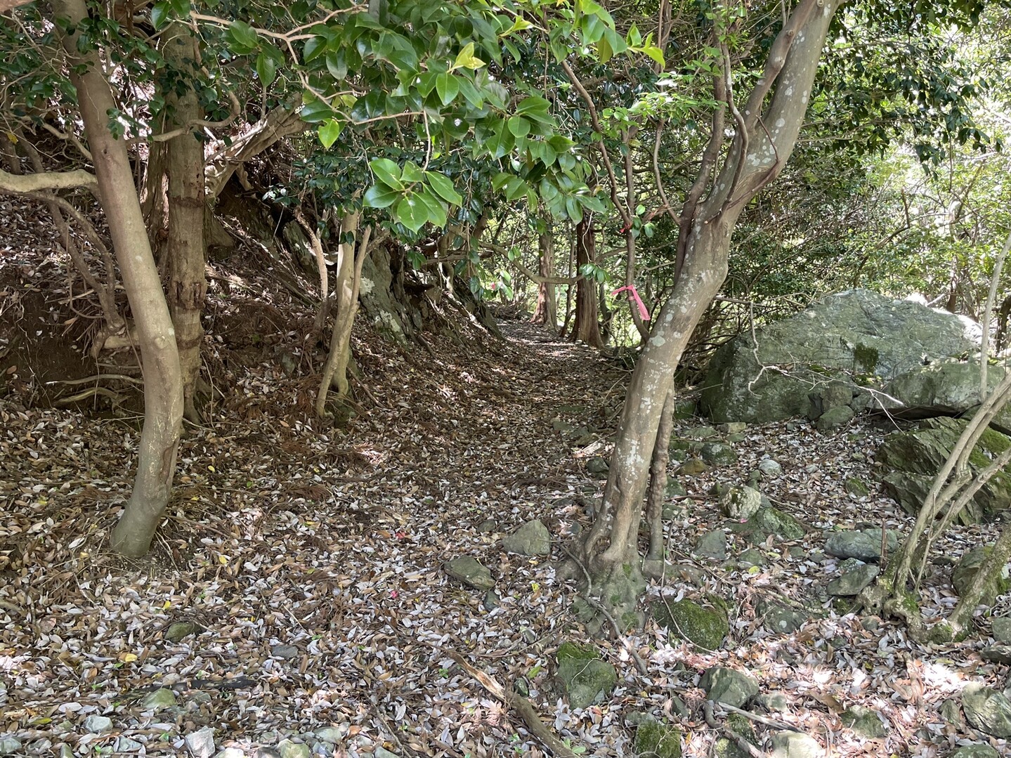 podoryさんの投稿したフィールドメモ | YAMAP / ヤマップ