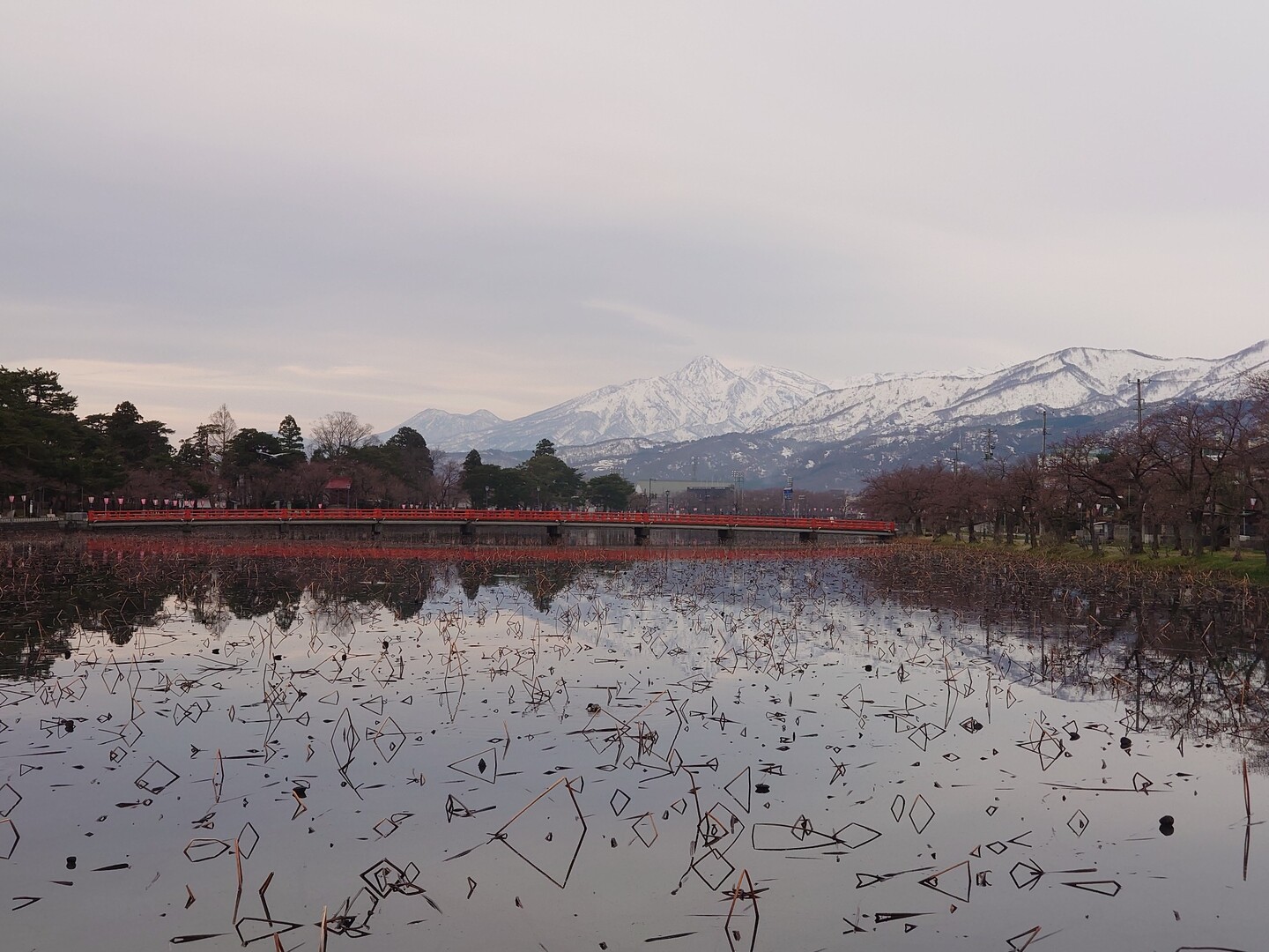 今朝の高田公園からの妙高 / yone993さんのモーメント | YAMAP / ヤマップ