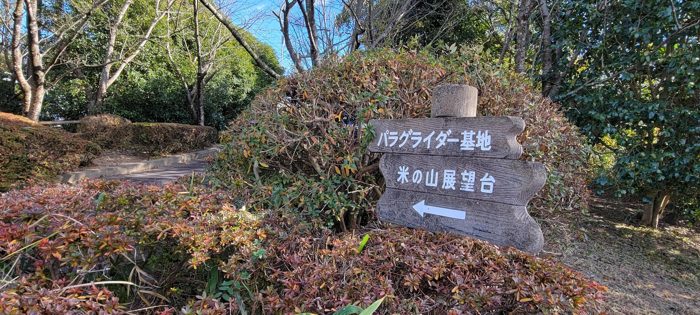 米ノ山 / moonさんの米ノ山の活動データ | YAMAP / ヤマップ