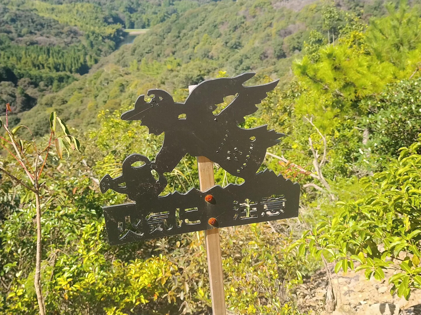 茶臼山・イナバ山周回 憧れの天使に会えた😆 / サンライズさんの茶臼山・万灯山の活動データ | YAMAP / ヤマップ