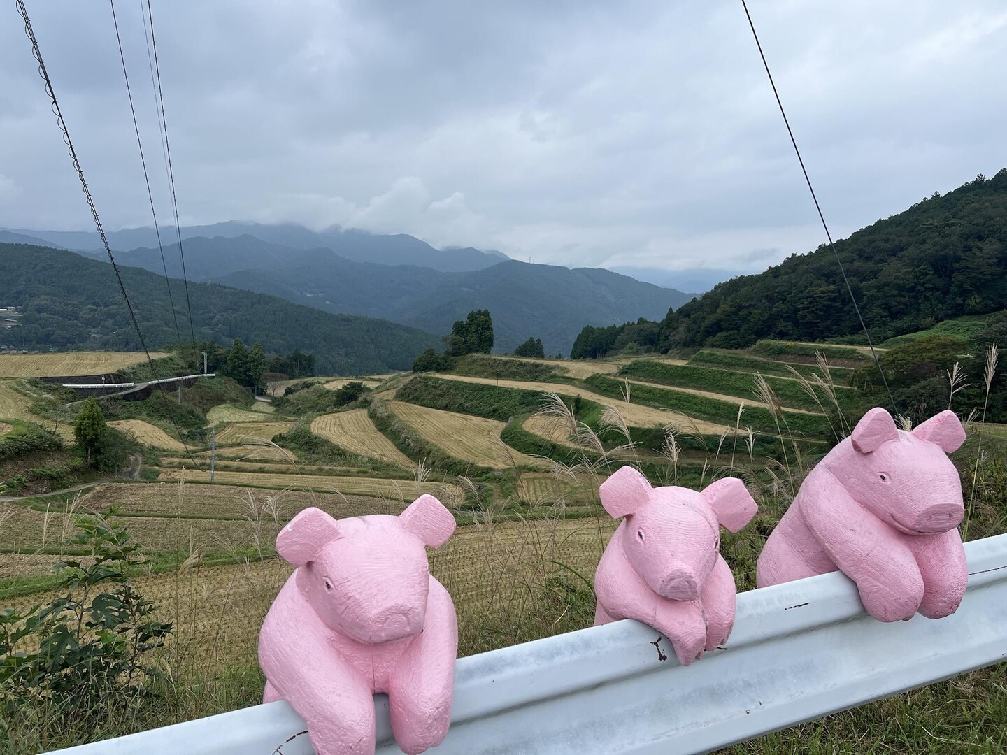 笹ヶ峰：「とさんぽ」心の目で見えた景色🎃 / mipiさんの工石山の活動データ | YAMAP / ヤマップ