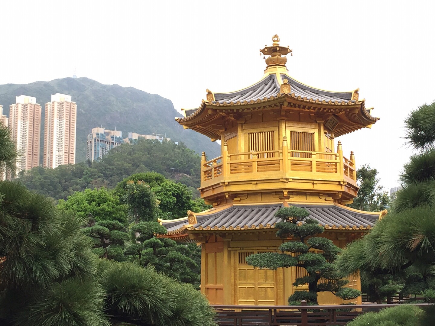 20190310 志蓮淨苑 / Eno-chanさんのマクリホース・トレイルの活動データ | YAMAP / ヤマップ