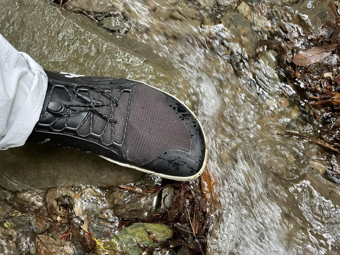 天王山 雨上がり / NNNRさんの天王山・誕生山の活動データ | YAMAP / ヤマップ