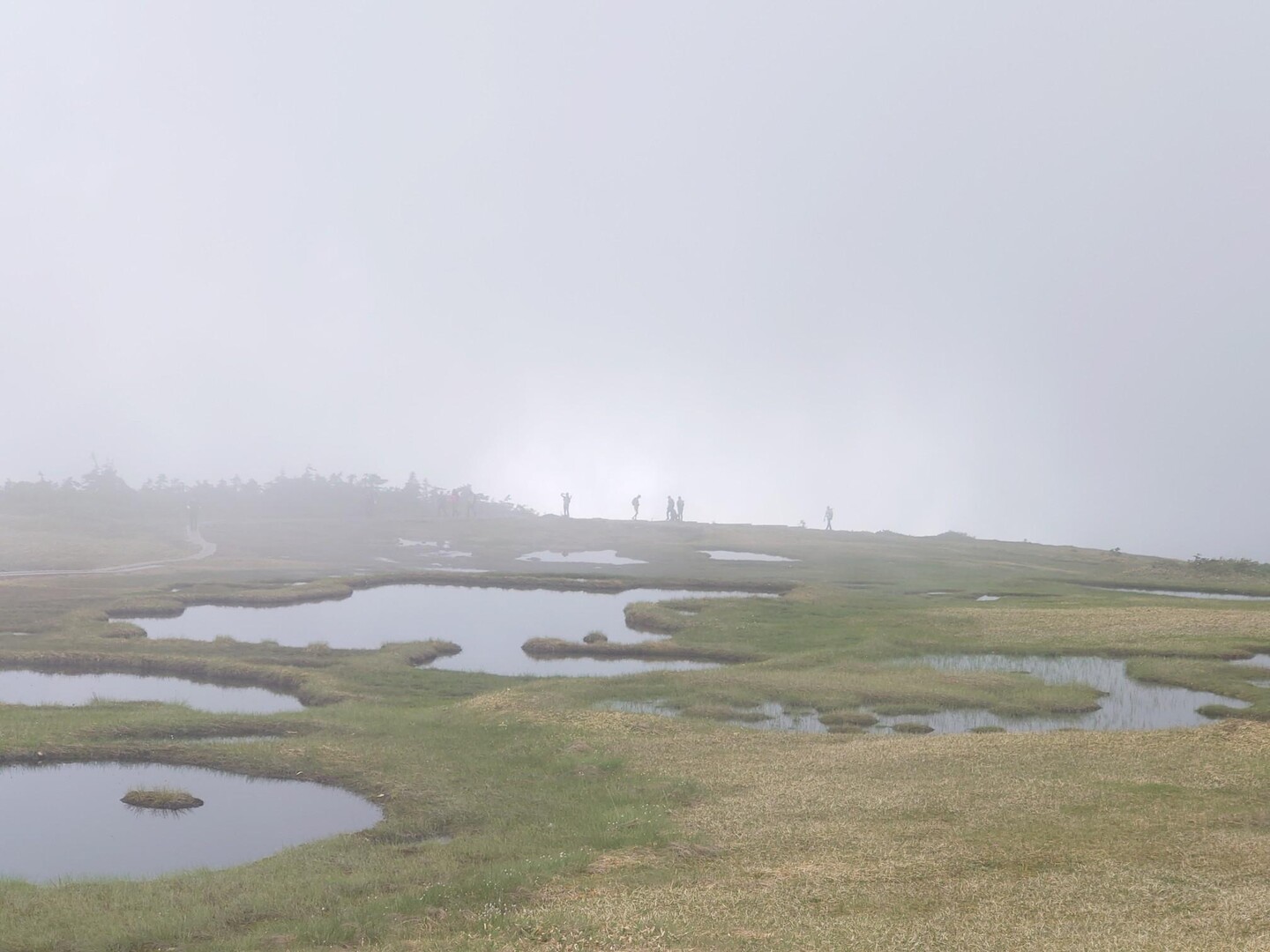 2023年6月末苗場山 / yama-ikeさんの苗場山・赤倉山・佐武流山の活動データ | YAMAP / ヤマップ