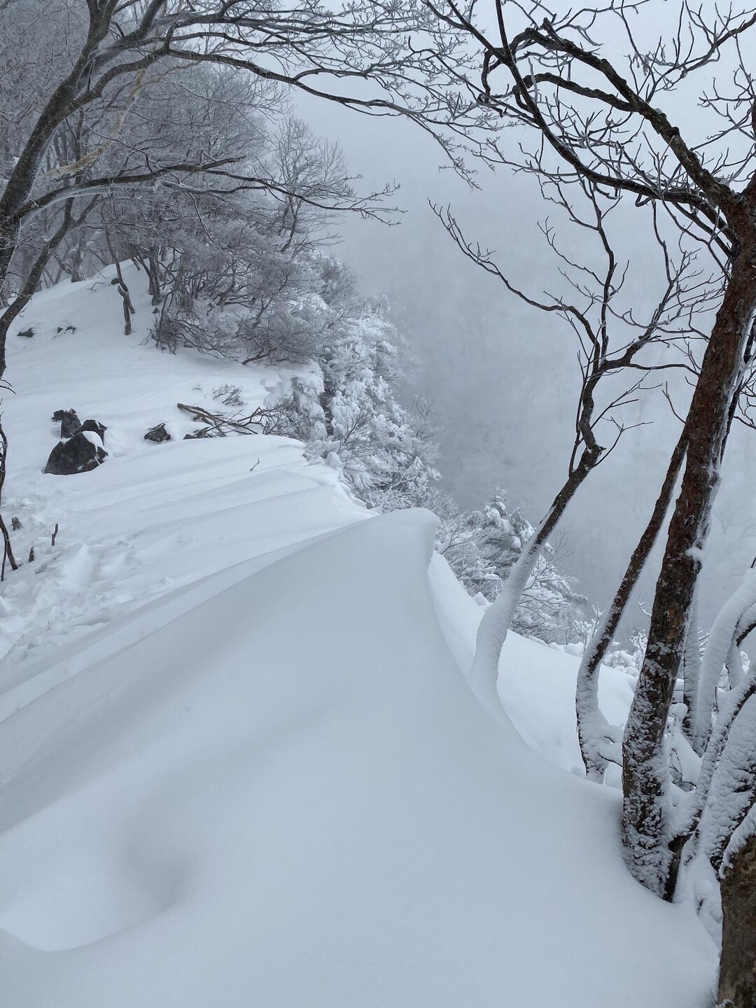 赤城山・黒檜山・荒山-2025-02-08 / GALAさんの赤城山・黒檜山・荒山の活動データ | YAMAP / ヤマップ