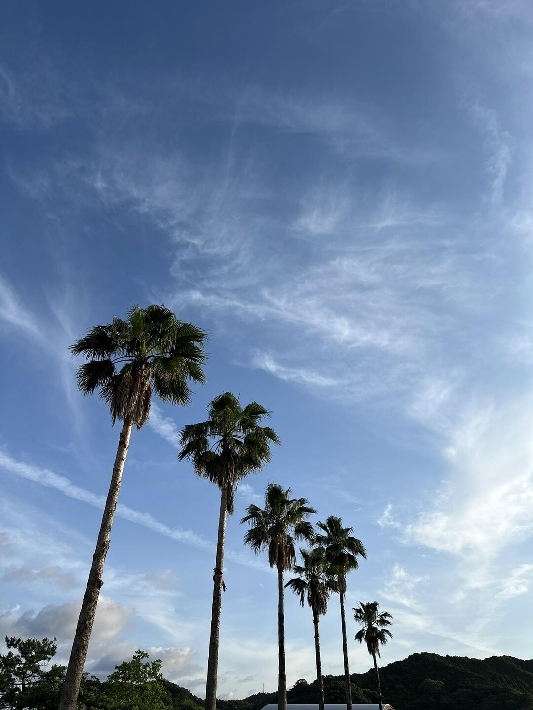 お疲れ様です🏝️ / RNさんのモーメント | YAMAP / ヤマップ